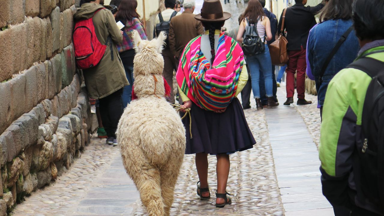 Moda Alpaca Peruana: 10 Marcas que lideran el mercado