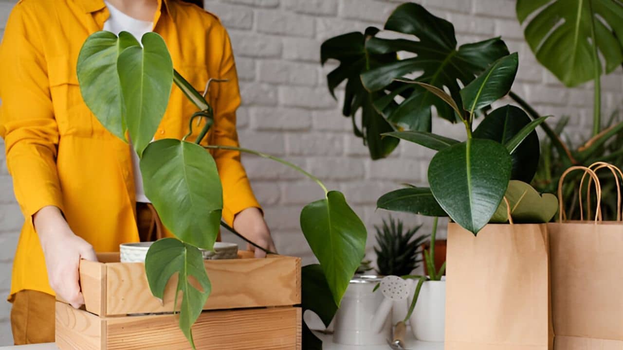 11 Marcas Colombianas Ecológicas que Lideran las Tendencias Globales de ...