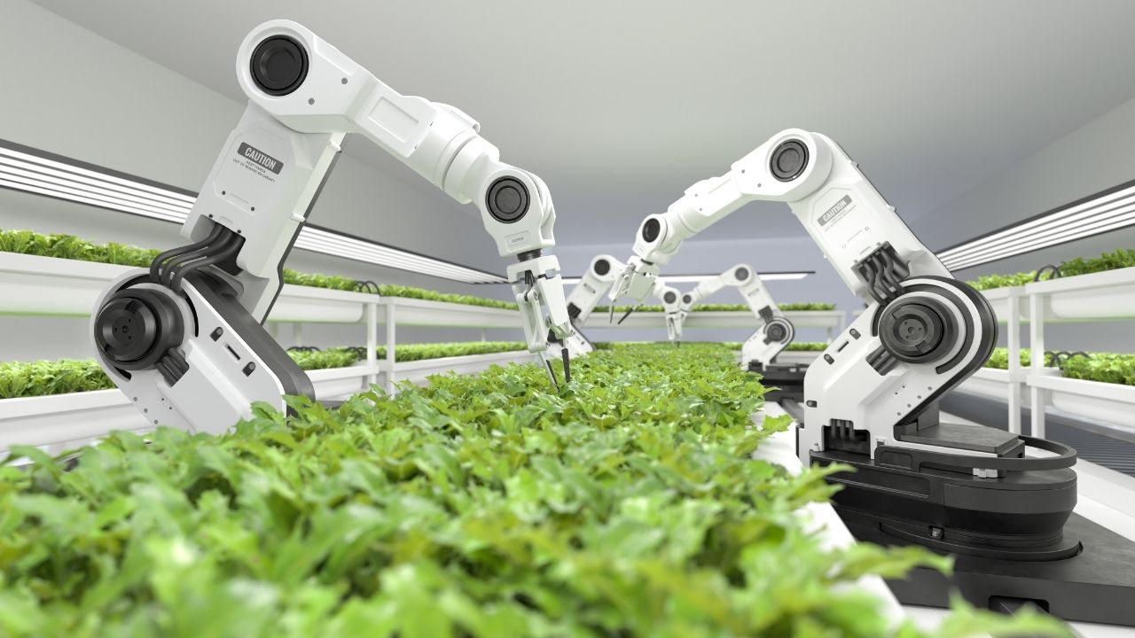 Agri-Tech en España: 6 Startups Innovadoras del Sector Agrícola